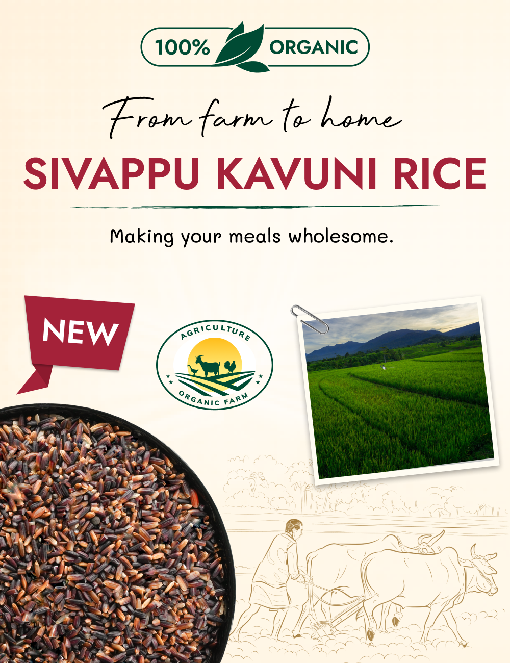 Buy Sivappu Kavuni / Red Rice Unpolished Raw Arisi - Oorla