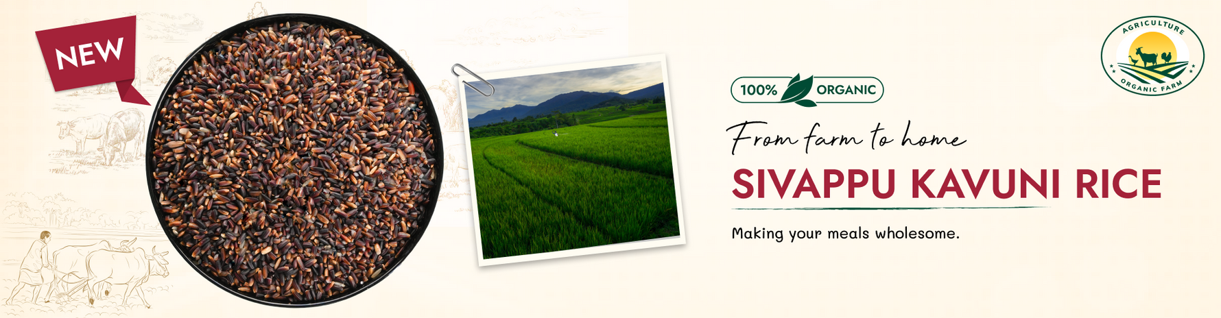 Buy Sivappu Kavuni / Red Rice Unpolished Raw Arisi - Oorla